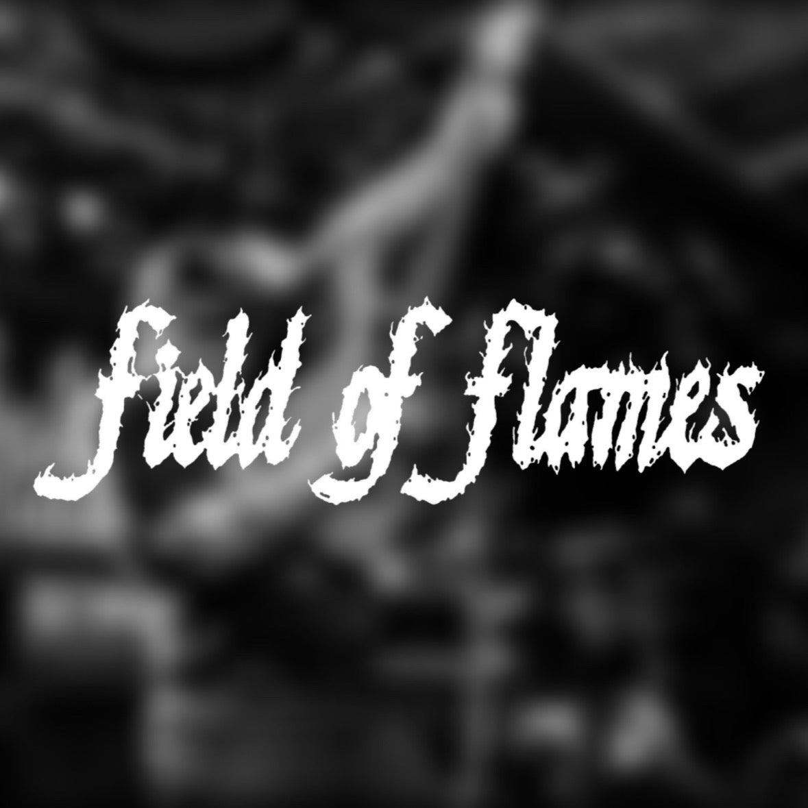 FIELD OF FLAMES – 365 MERCH